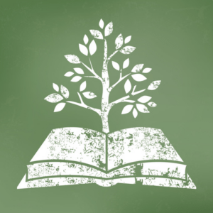 AMO Program - An educational WordPress site