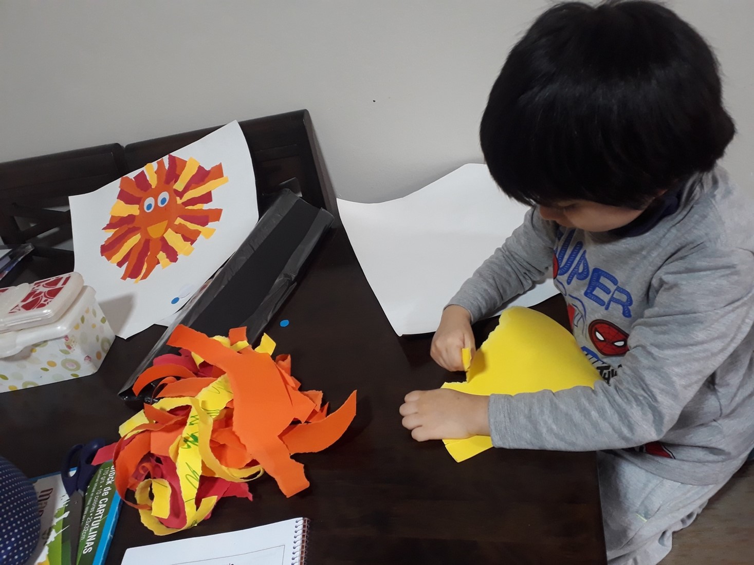 AMO Training - AMO Program