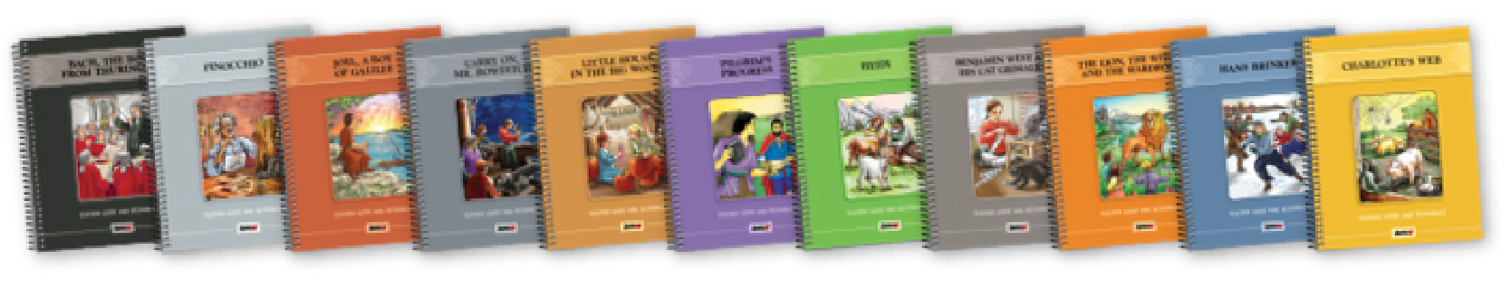 AMO Program - An educational WordPress site