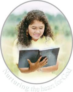 AMO Program - An educational WordPress site